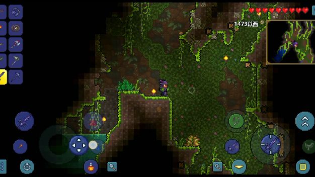 泰拉瑞亚生存日记第九期探索丛林。