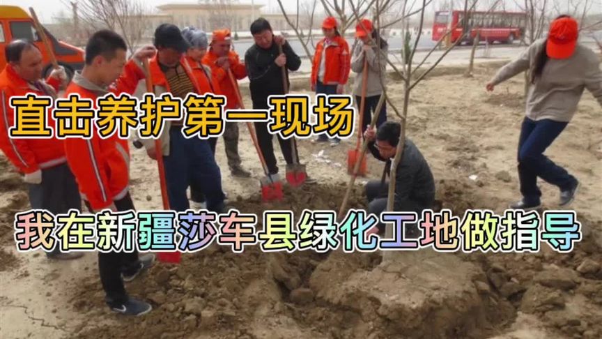 园林栽植不注重细节,成活率将大大降低#园林绿化