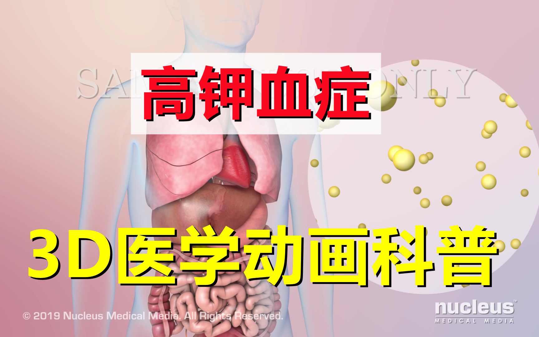 【3D医学动画科普】高钾血(中英双语字幕)