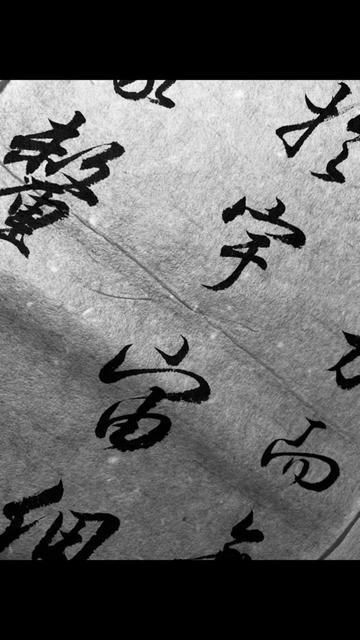 零基础学书法每天进步一点圣教序行书入门教程 一起练字每日一练