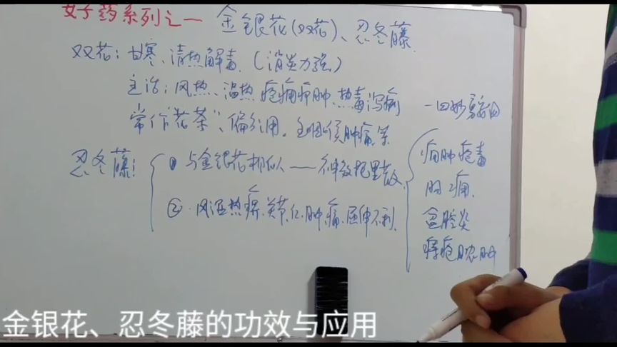 中药金银花、忍冬藤的功效介绍