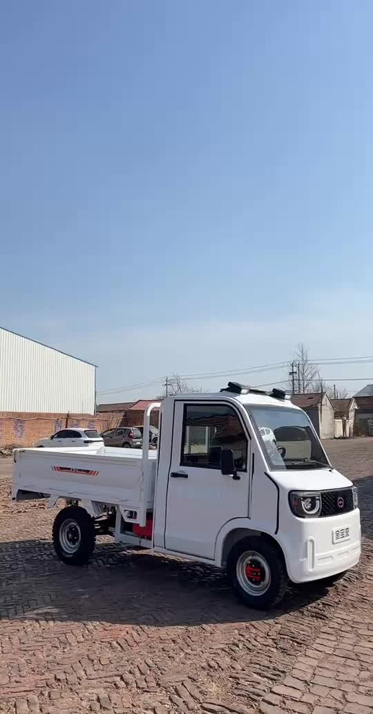 #老年代步车 #低速电动汽车 #油电两用代步车 #电动四轮车 #电动四轮 ...