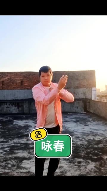 咏春拳演练动作简单实用