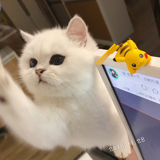 刘涛同学和晚晚 