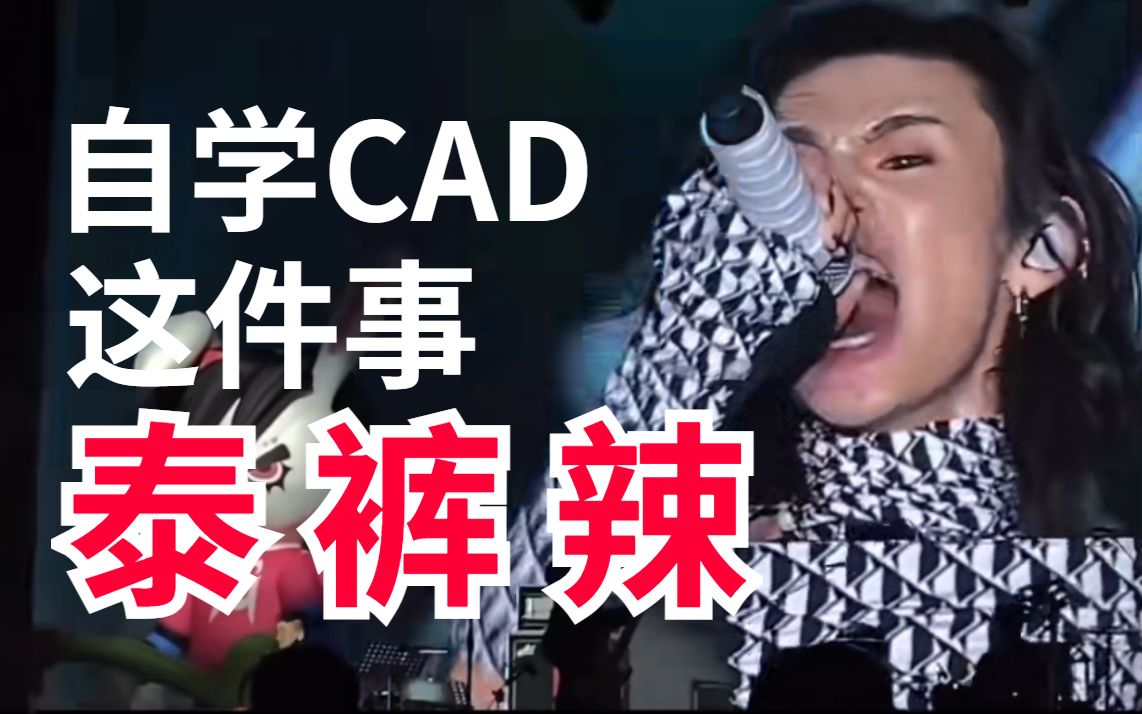 【CAD零基础教程】自学CAD这件事实在是泰裤辣!(版本选择+安装...
