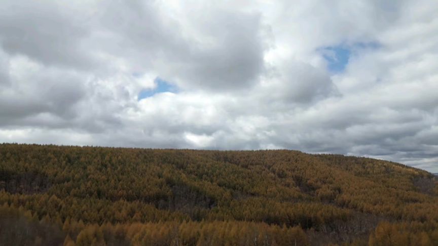 #塞罕坝国家森林公园 这两天全国都在看塞罕坝的绿