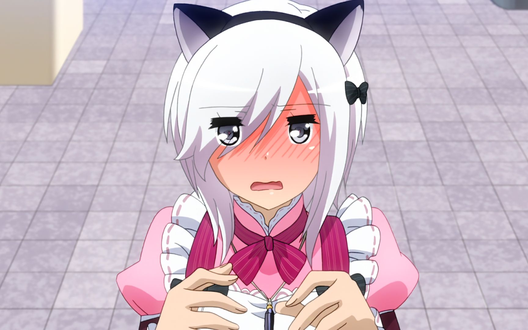 男主因实力太强被刺客妹子盯上,战术表白之后彻底爱上了