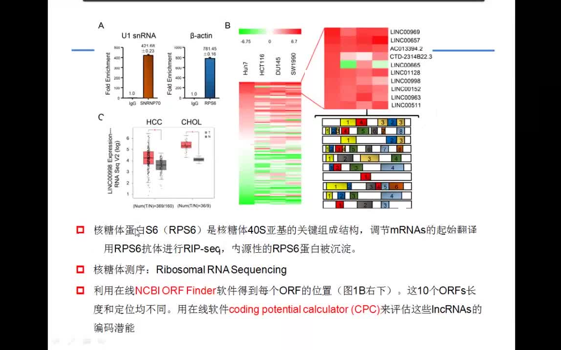 LncRNA功能机制及课题设计思路分享