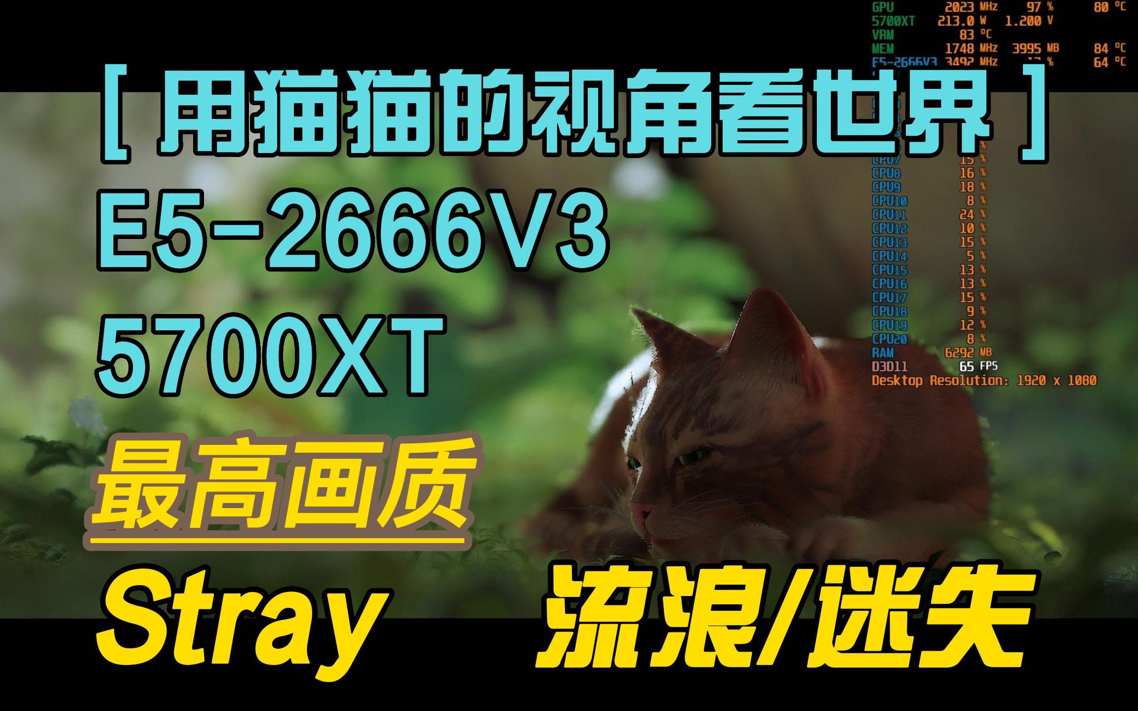 小猫咪模拟器吗?《迷失stray》最高画质试玩 E5-2666V3+5700XT