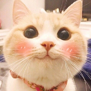 意念少女阿司 