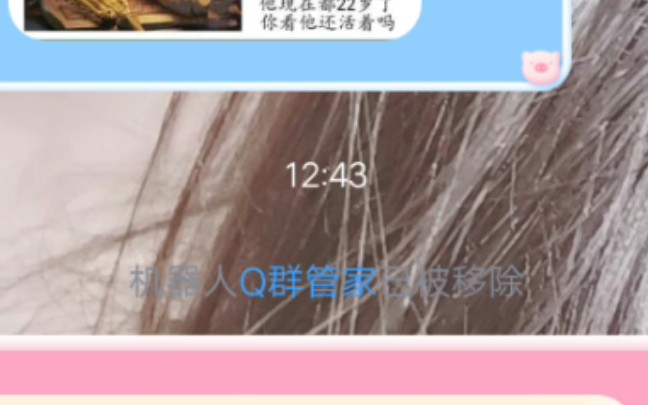 您已被QQ管家踢出本群