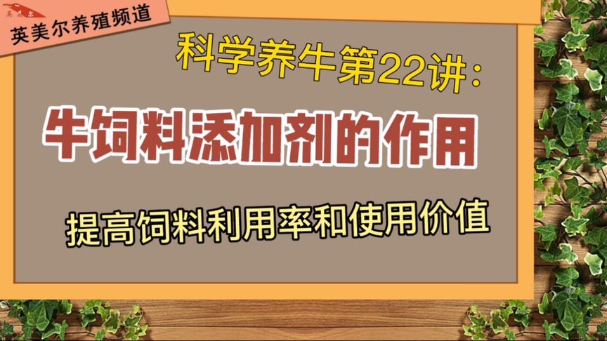 科学养牛第22讲:牛饲料添加剂的作用,提高饲料利用率和使用价值