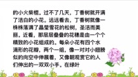 习作:我的植物朋友范文