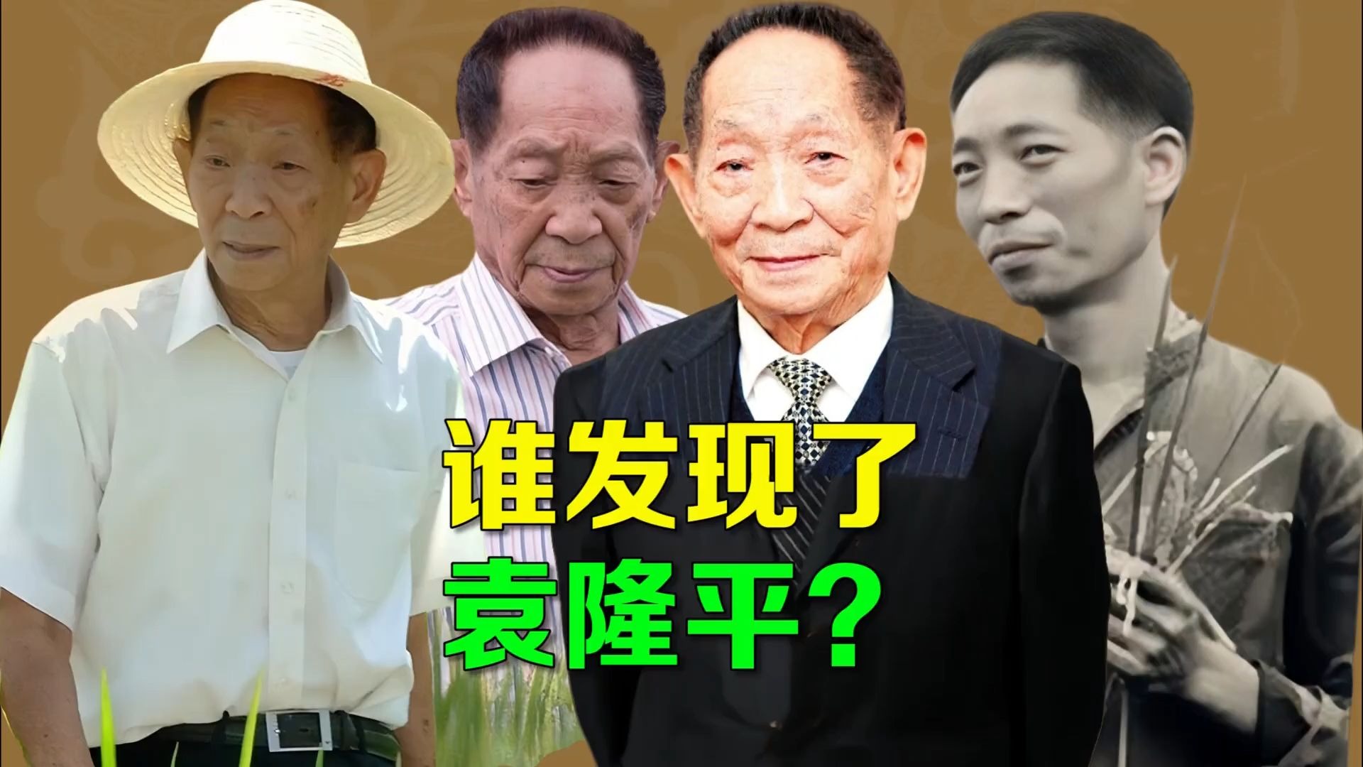 谁发现了袁隆平?袁隆平享誉世界的曲折历程