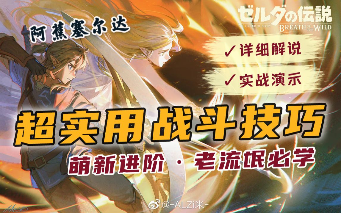 【阿蕉塞尔达】超实用战斗技巧_哔哩哔哩bilibili_塞尔达传说