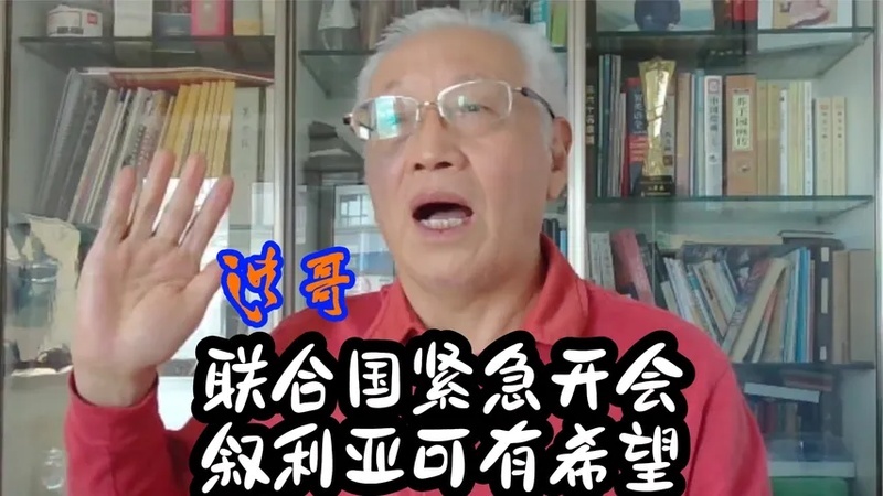 联合国安理会紧急开会 国际社会应该出手 叙利亚可还有希望