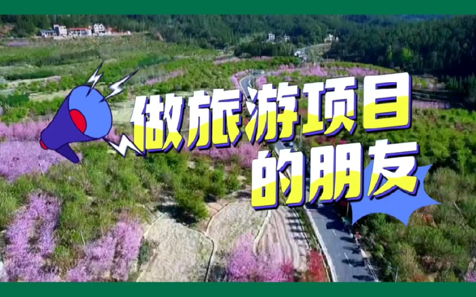 旅游规划方案好不好,关键看这12点#旅游规划设计#乡村旅游规划#文旅...