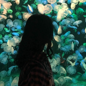 永远18岁的QQ燕 