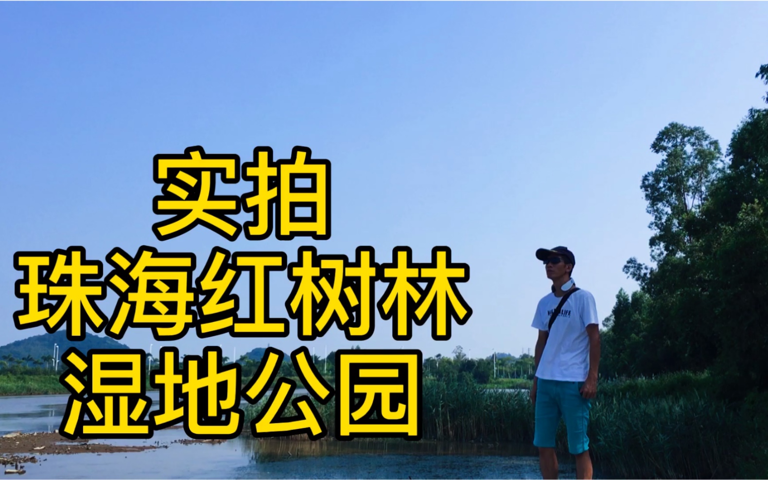 难怪每天那么多人来,实拍珠海红树林湿地公园保护区太美了珍藏