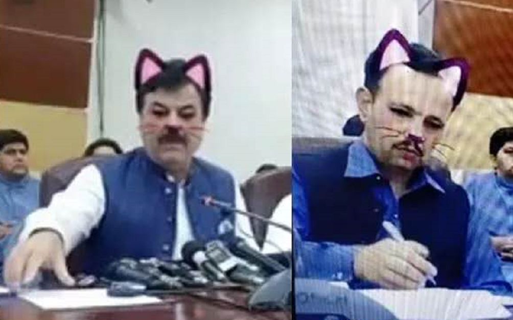 尴尬!这么严肃的政府会议现场网络直播却忘了关猫咪滤镜!全都被网友...
