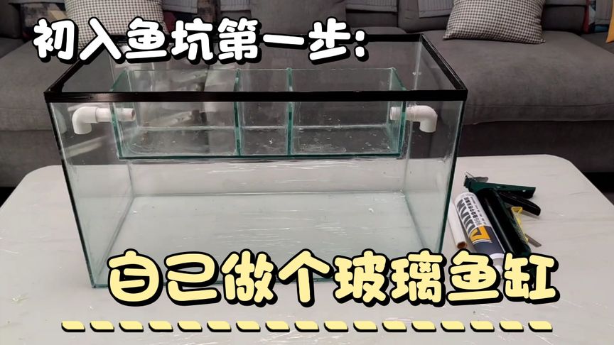 [自制玻璃鱼缸]突发奇想,鱼缸过滤一体化,这个方案可行吗?