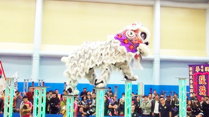专业舞狮表演,相关舞狮队精彩舞狮欣赏