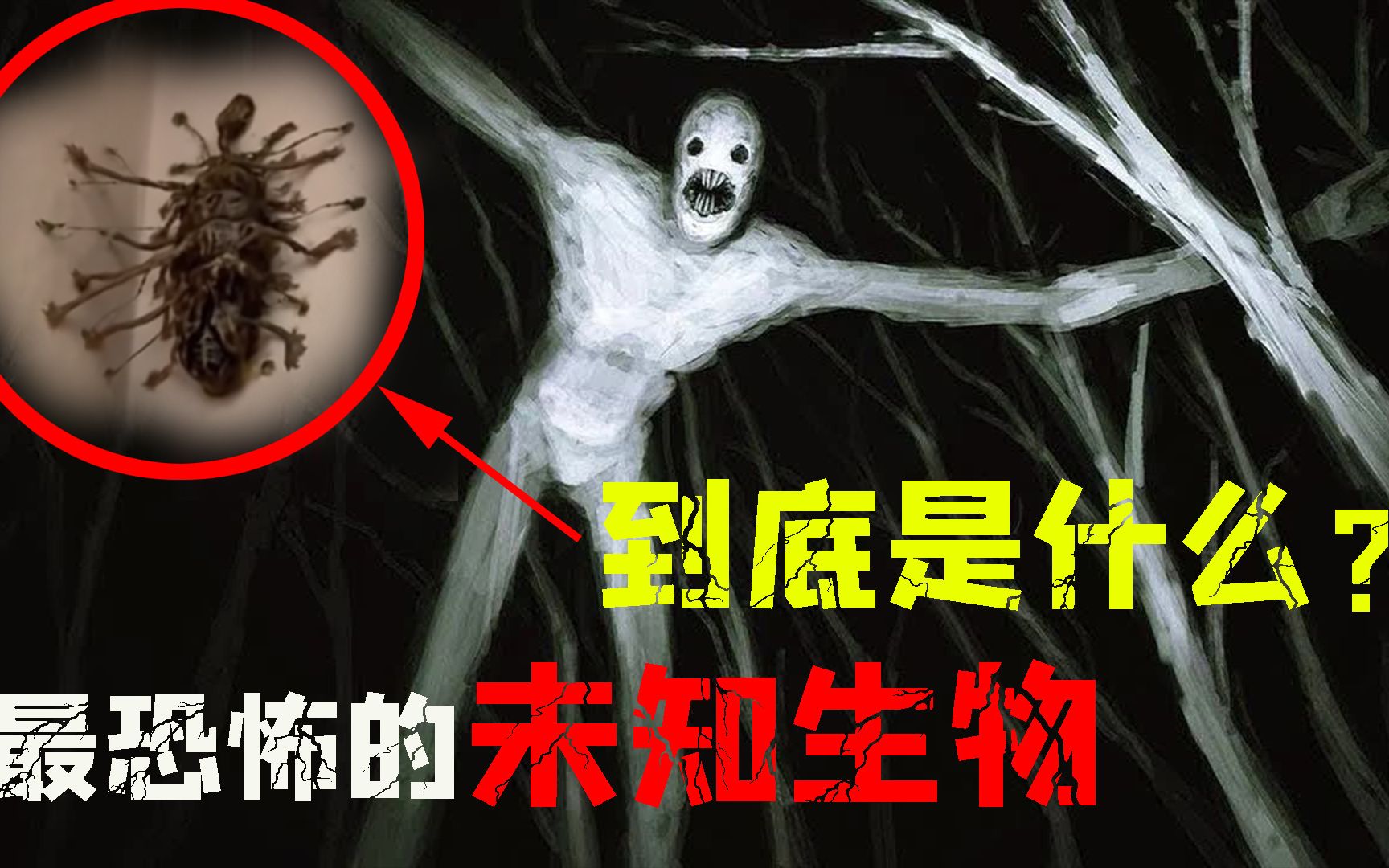 最恐怖的未知生物,到底是真是假?