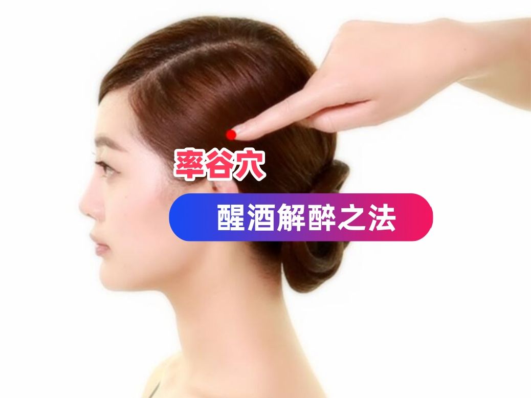 172、足少阳胆经 — 率谷穴 — 醒酒解醉之法