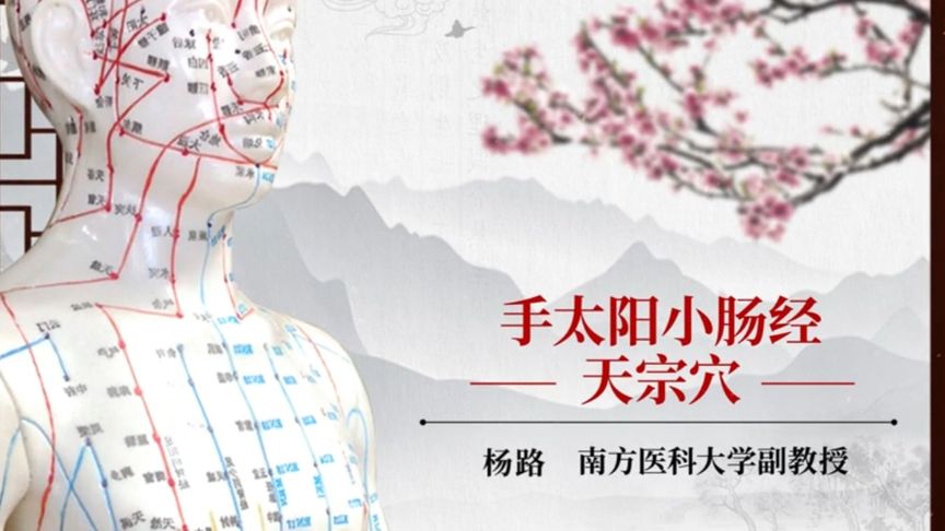 小穴位大健康:手太阳小肠经:天宗穴