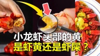 知识科普记 第37集 小龙虾头部的“黄”,是虾黄还是虾屎?吃了这么...