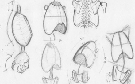 【结构-几何】新手入门几何结构,傻瓜都看会了,你还不如?一天天的~