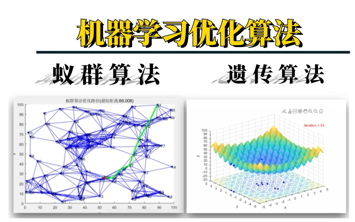 强推!【优化算法】遗传算法、蚁群算法、模拟退火算法、粒子群优化...