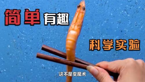 几个简单易上手的家庭亲子互动小实验,假期带着孩子统统实验一遍