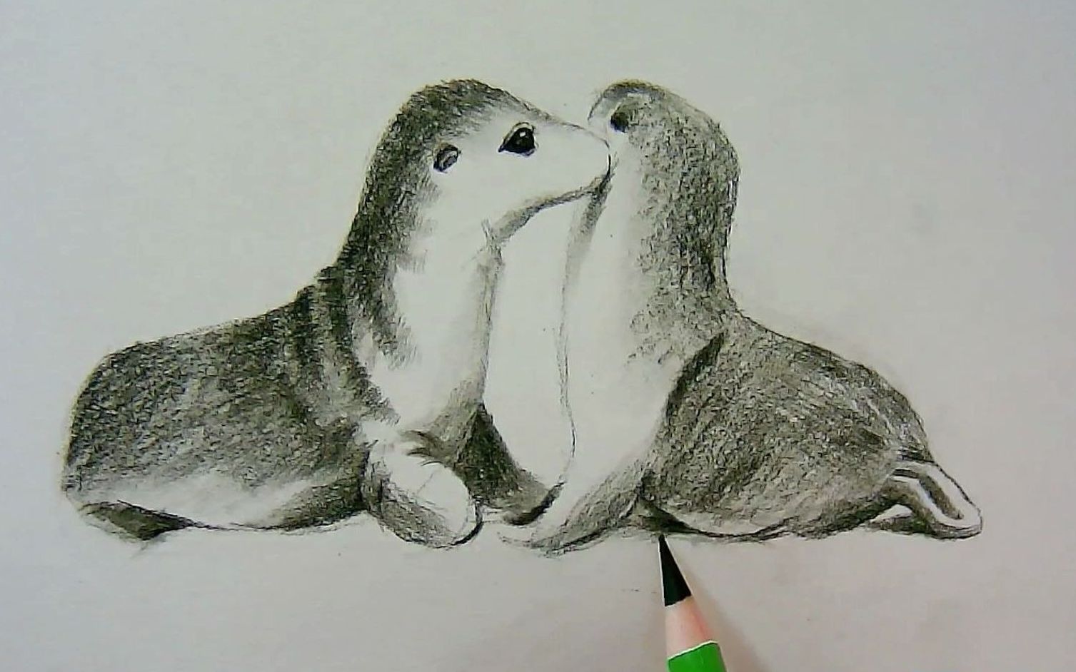 【手绘】新手素描入门动物教程 素描过程参考 完全零基础小白可学