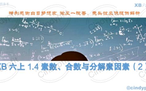 XB六上1.4素数、合数与分解素因数(2)