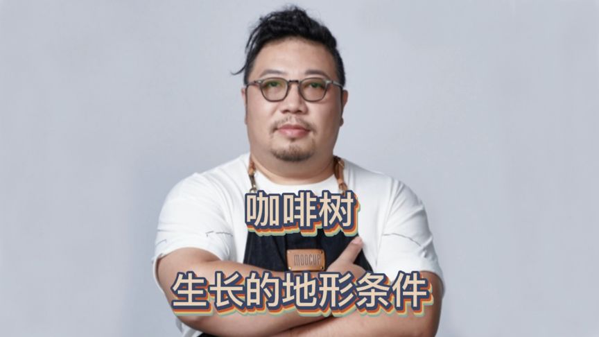 泡哥聊咖 咖啡树生长的地形条件
