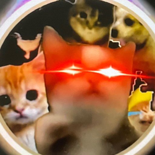 ha了个opt 