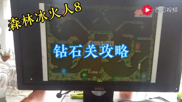森林冰火人8:这期我们看攻略,有点难度