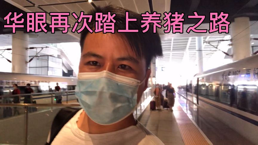 华眼休假结束再次踏入养猪之路,宾馆物品70度消毒,隔离5天