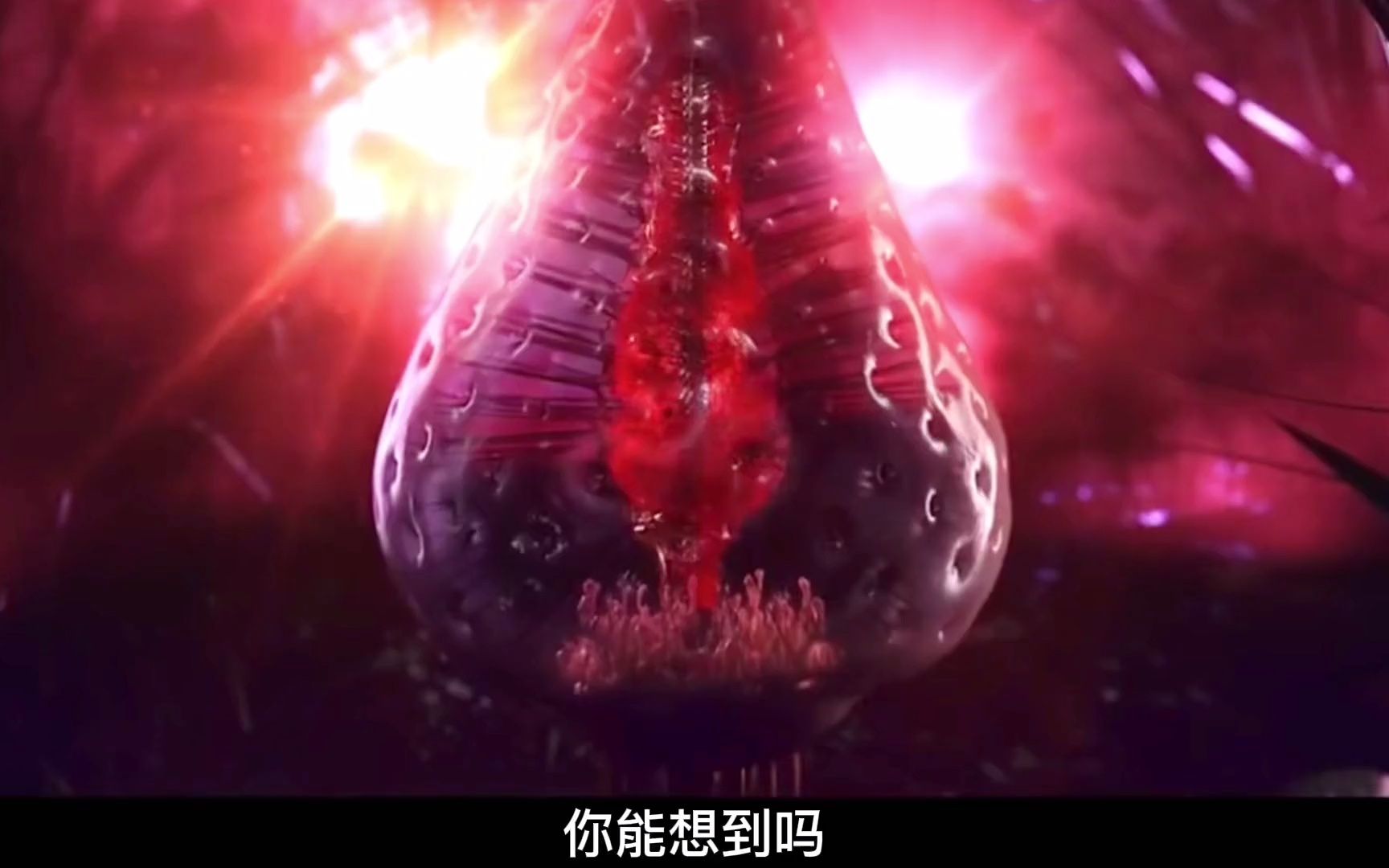 吃了这么多年的草莓,那你知道草莓究竟是怎样形成的吗?