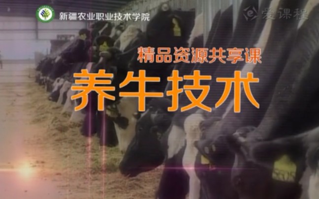 【资源共享课】养牛技术 新疆农业职业技术学院