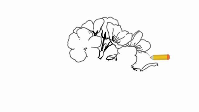 怎样画春天里的桃花?这样画简单又美丽