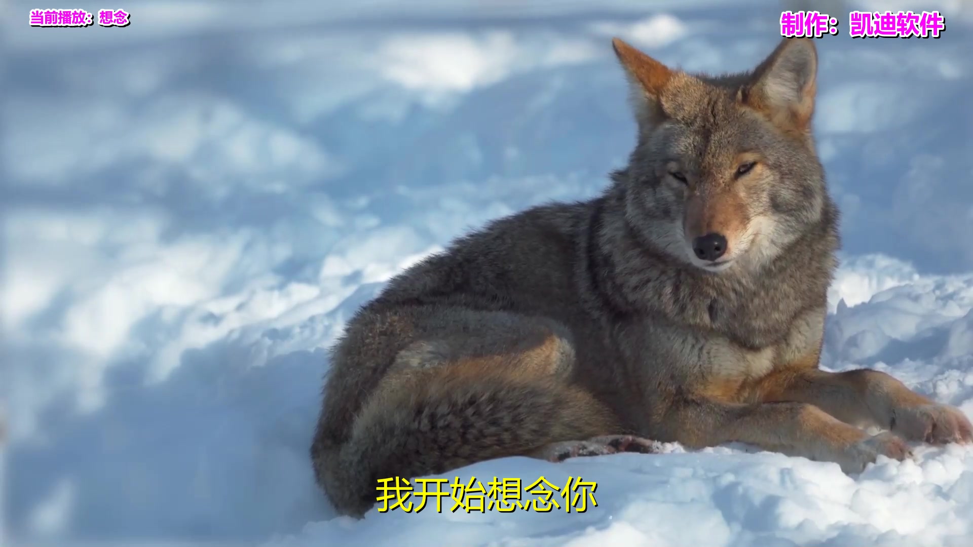 《想念》欣赏,手机rmvb如何转成mp4软件