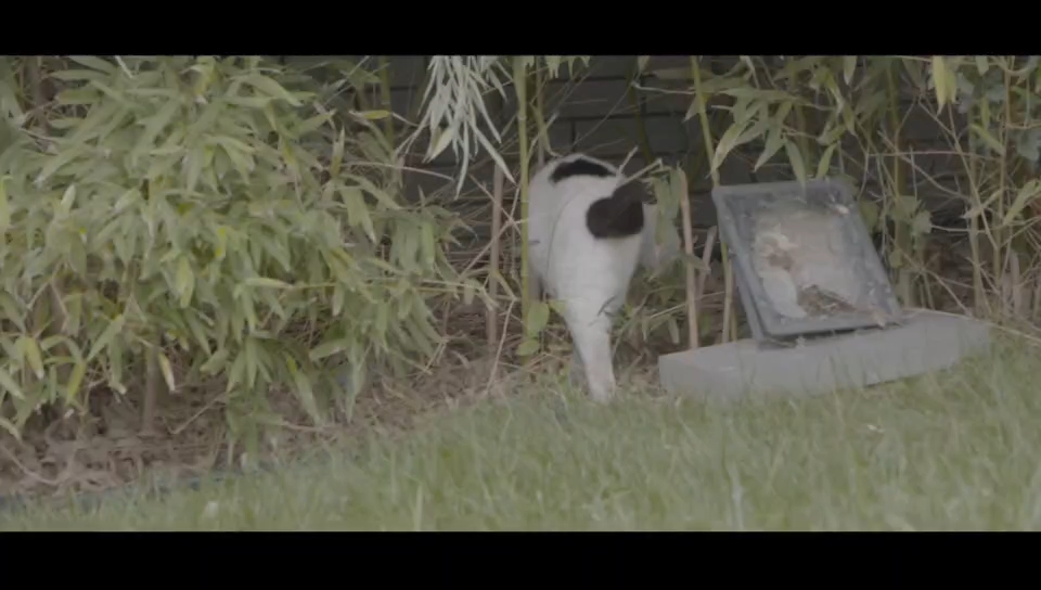 校园微电影——《人生计划本》勇敢地自我定义!