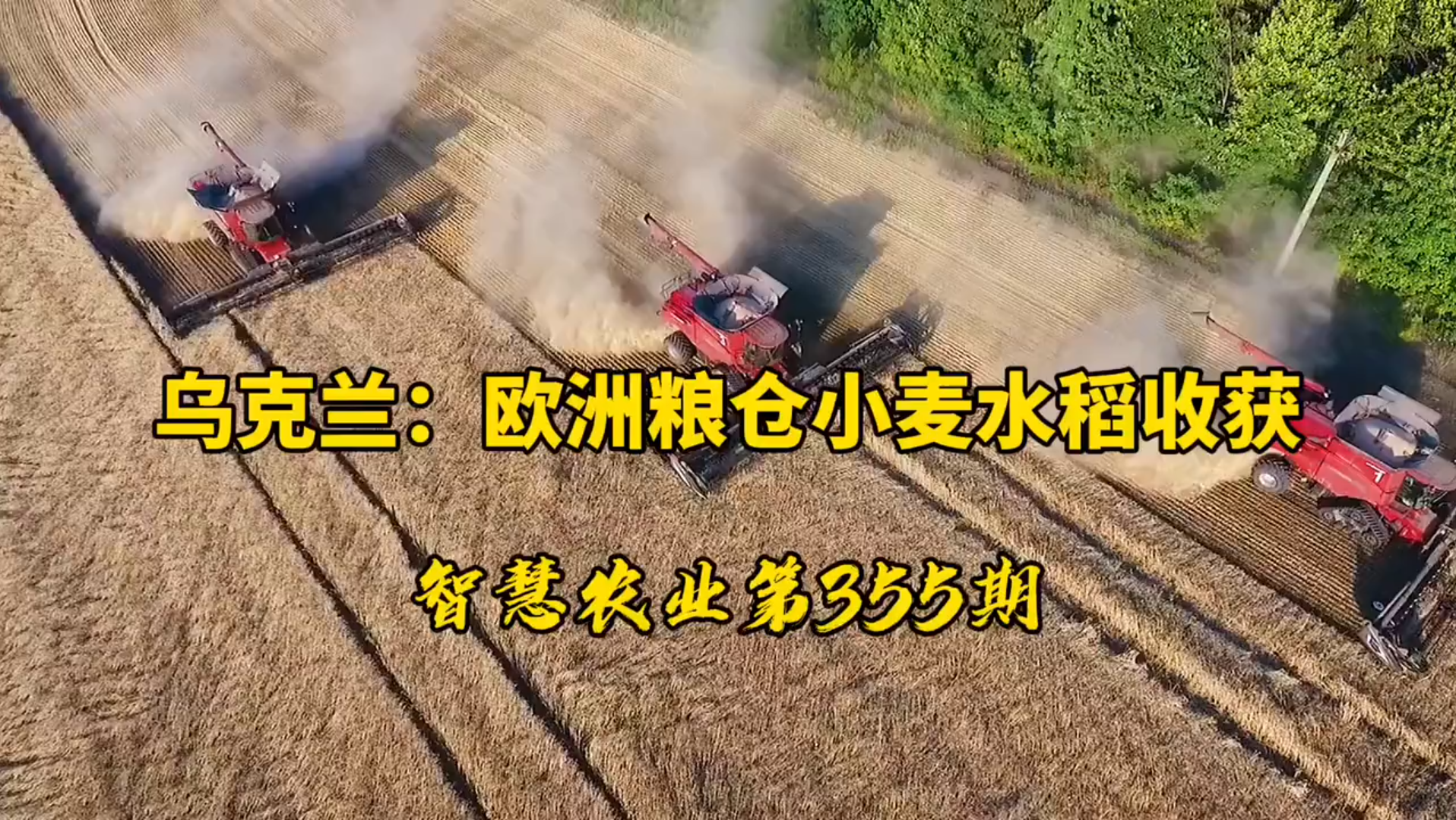 乌克兰、欧洲粮仓小麦水稻收获技术