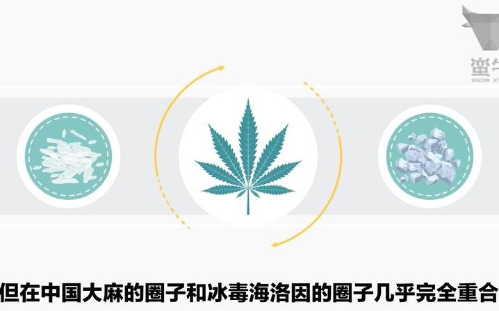 远离毒品,珍爱生命