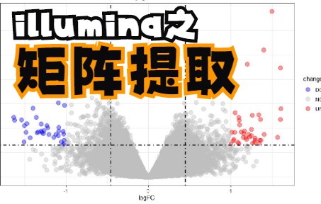 2矩阵提取和修改行列名