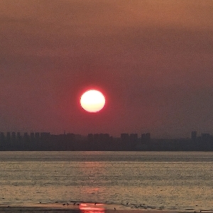 简单一点的交易 