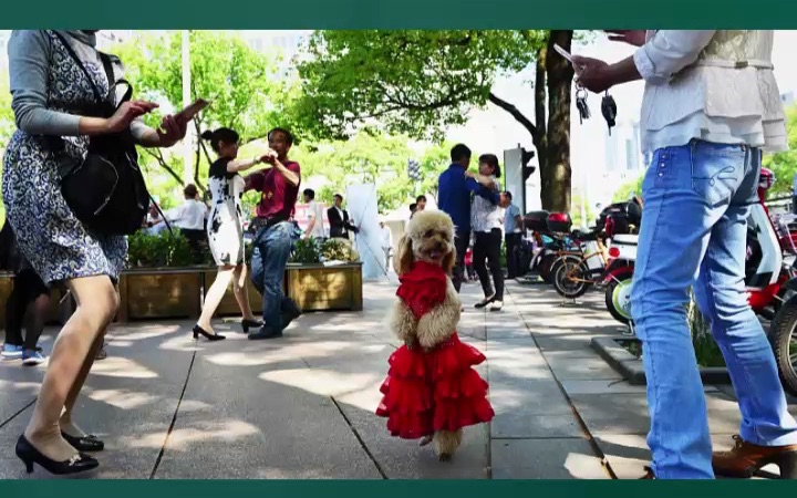 小区人员复杂业主诉求不一致,站在不同立场上处理事情会有分歧