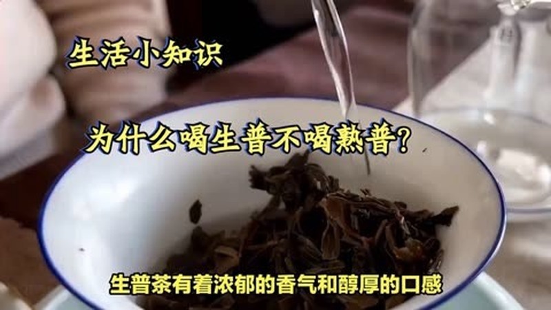 为什么喝生普不喝熟普纳闷为何不喝熟普解析生普的魅力!